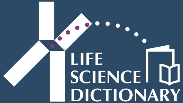 【difff】テキストの違いを一瞬で見分けるツールが凄い！ | ライフサイエンス・ブログ